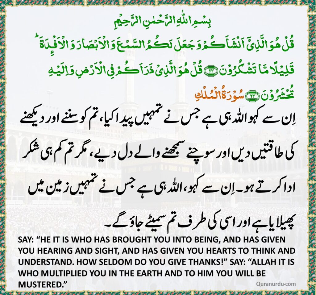Surah Al-Mulk – Ayah 23-24 | Daily Quran and Hadith - QuranUrdu.com